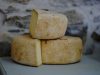 Dairy industry - Takabio